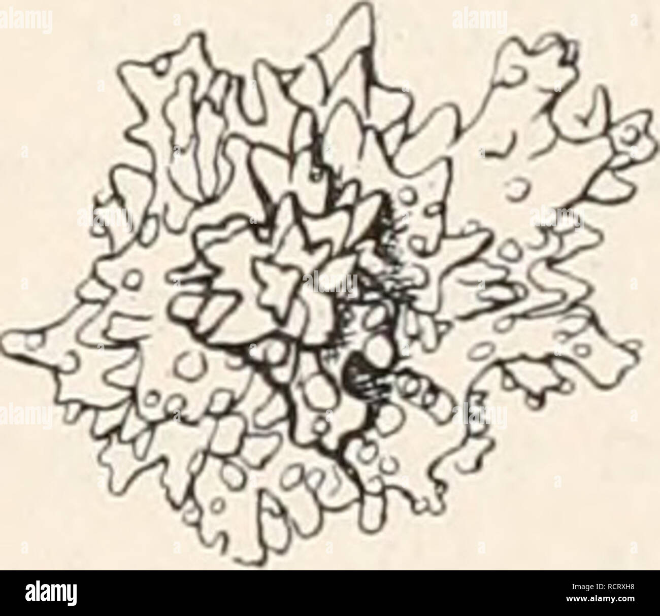 Grosser Schuppen High Resolution Stock Photography and Images - Alamy