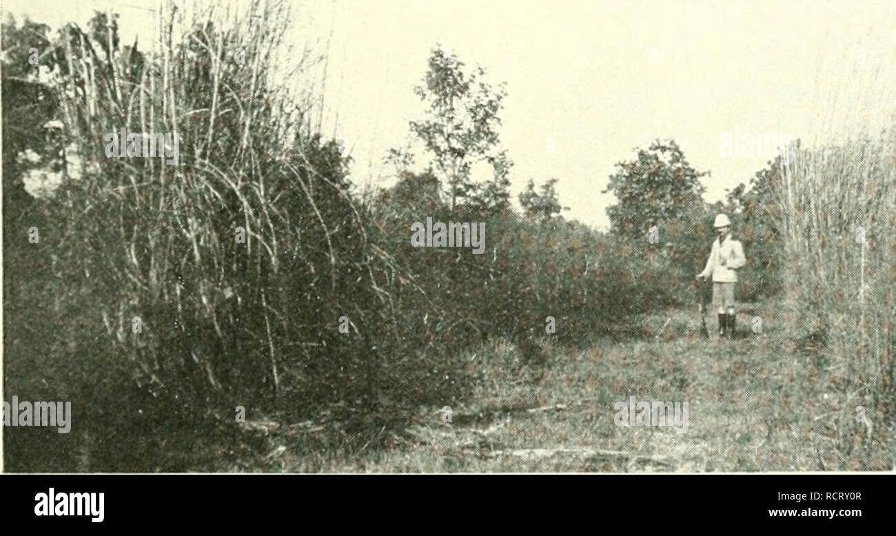 Nim game hi-res stock photography and images - Alamy