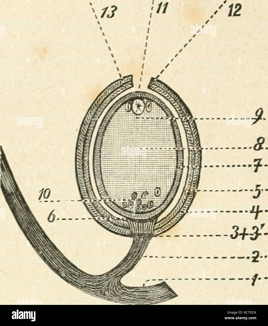 2 labios hi-res stock photography and images - Alamy