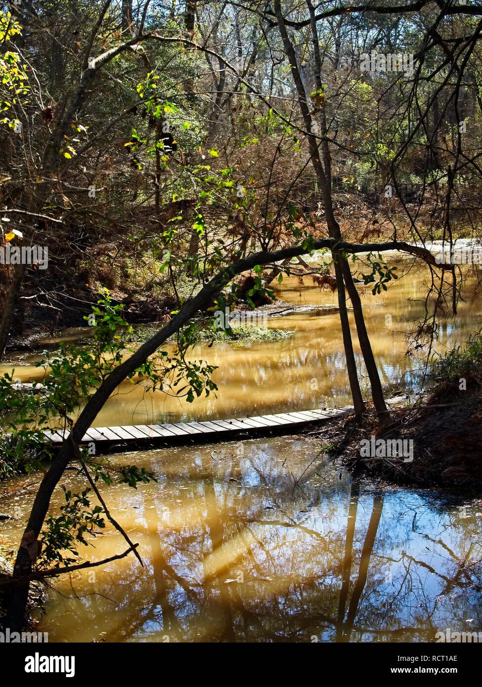 Bridge in the swamp hi-res stock photography and images - Alamy