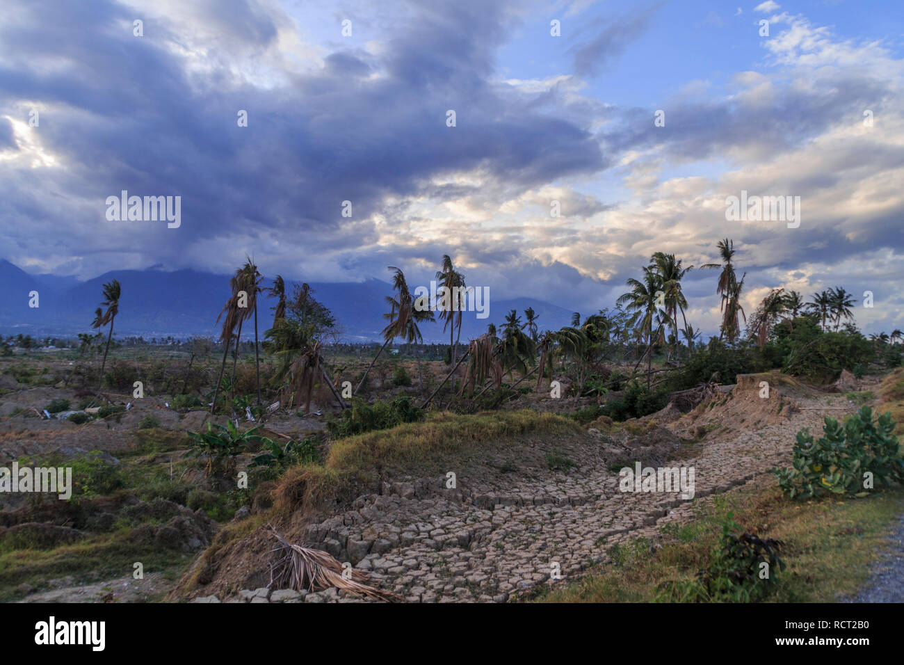 The impact of the damage caused by the earthquake and liquefaction ...