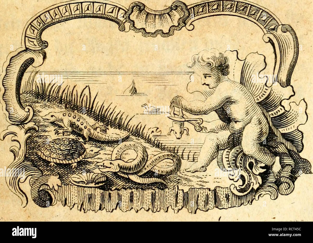 Des ritters carl von linne hi-res stock photography and images - Alamy