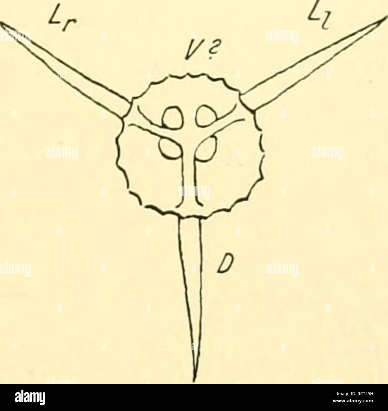 Circo 1903 hi-res stock photography and images - Alamy