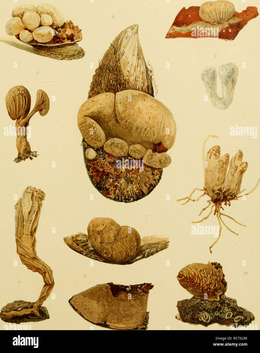 Flg ship hi-res stock photography and images - Alamy