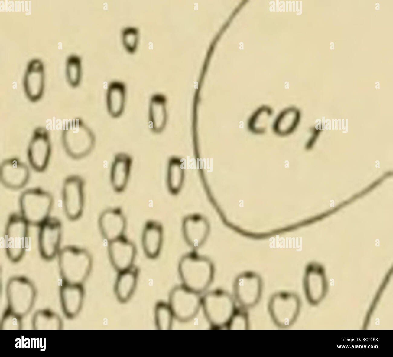 Spoc hi-res stock photography and images - Alamy