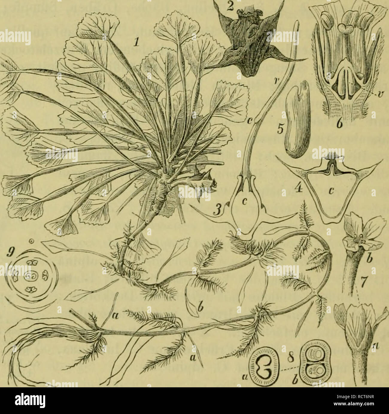 Stelte hi-res stock photography and images - Alamy