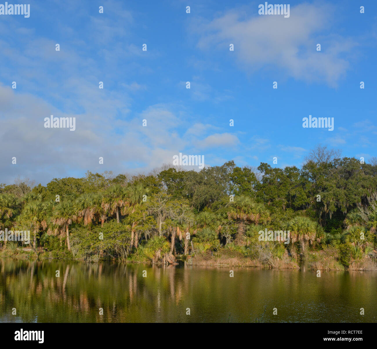 Hanna park hi-res stock photography and images - Alamy