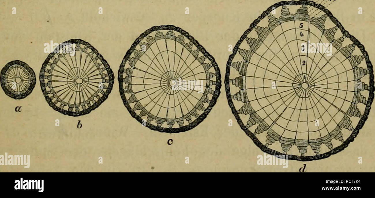 Kreise in einem kreis hi-res stock photography and images - Alamy