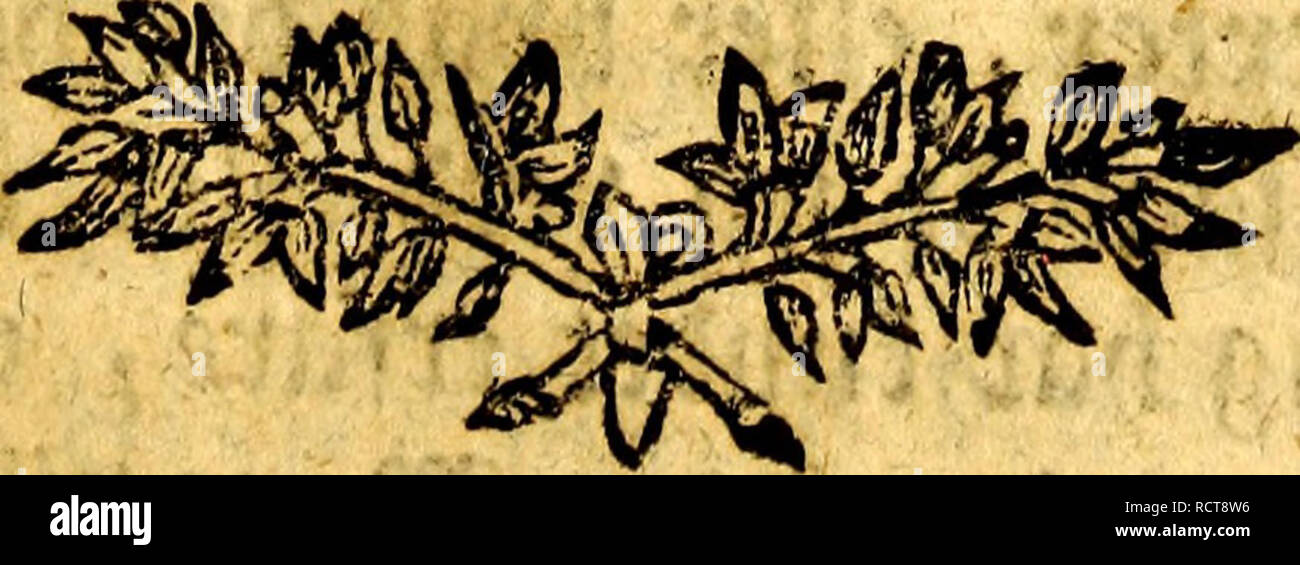 Meb font hi-res stock photography and images - Alamy