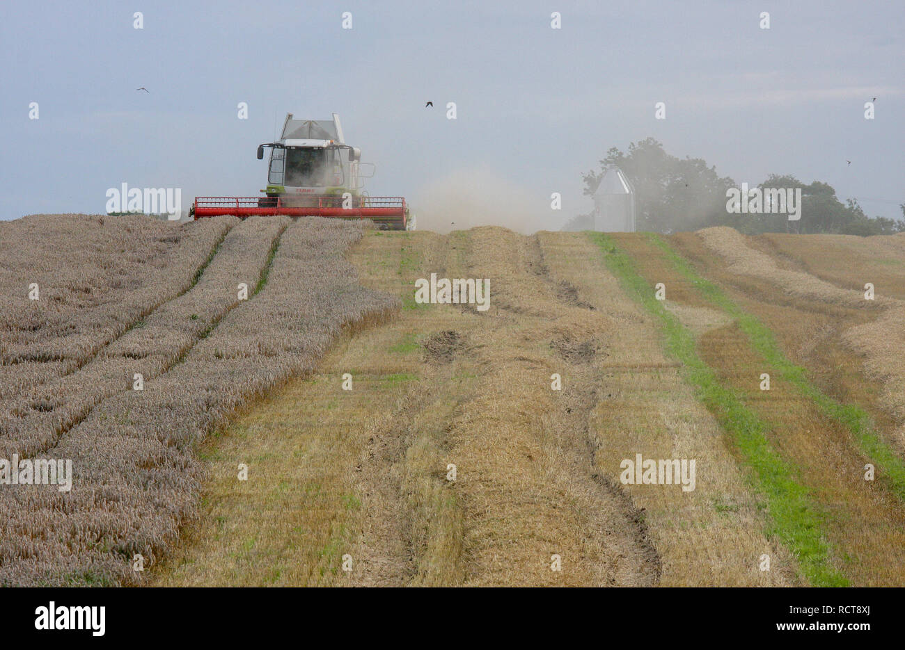 Combine cutting hill hi-res stock photography and images - Alamy
