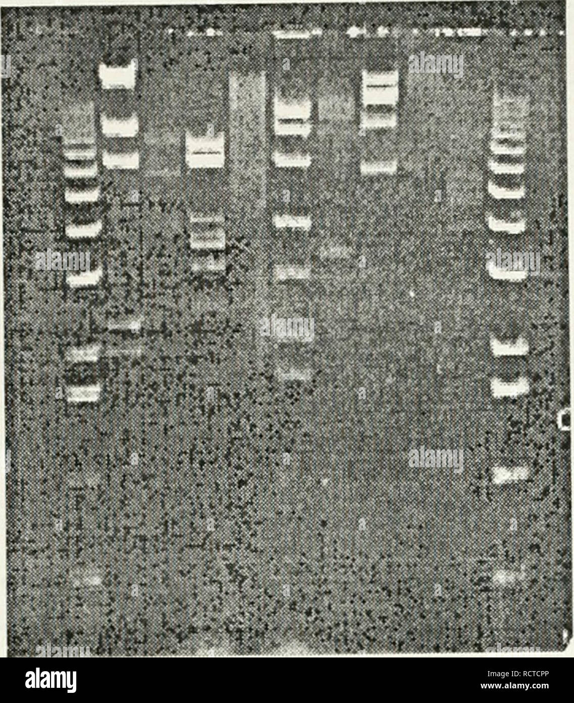 Chromosome 9 Map