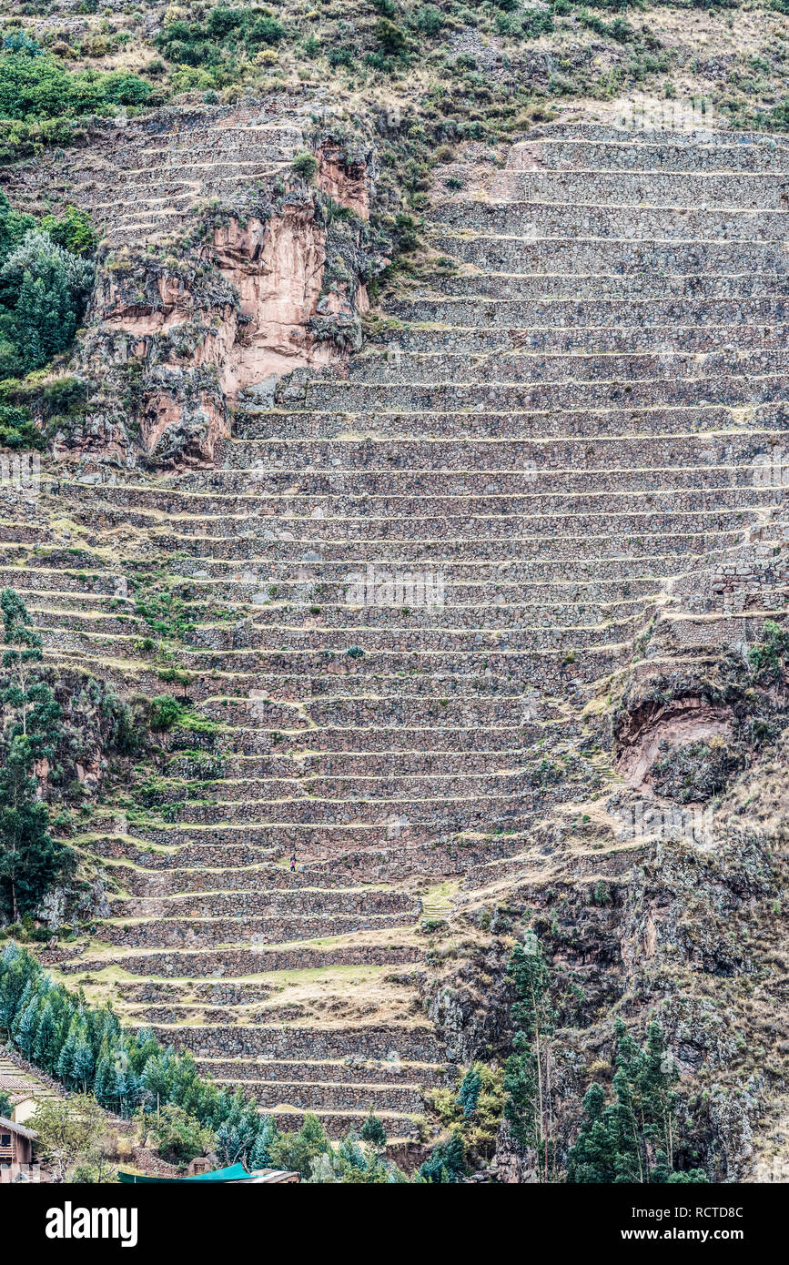 Pisac, Incas ruins in the peruvian Andes at Cuzco Peru Stock Photo - Alamy