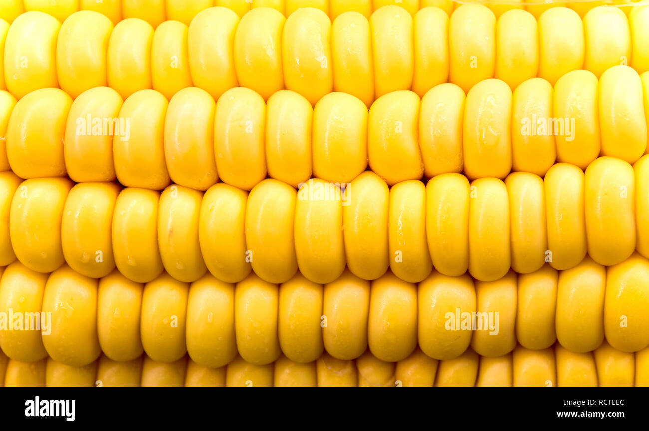 Texture of raw corn cob sweet maize Stock Photo - Alamy