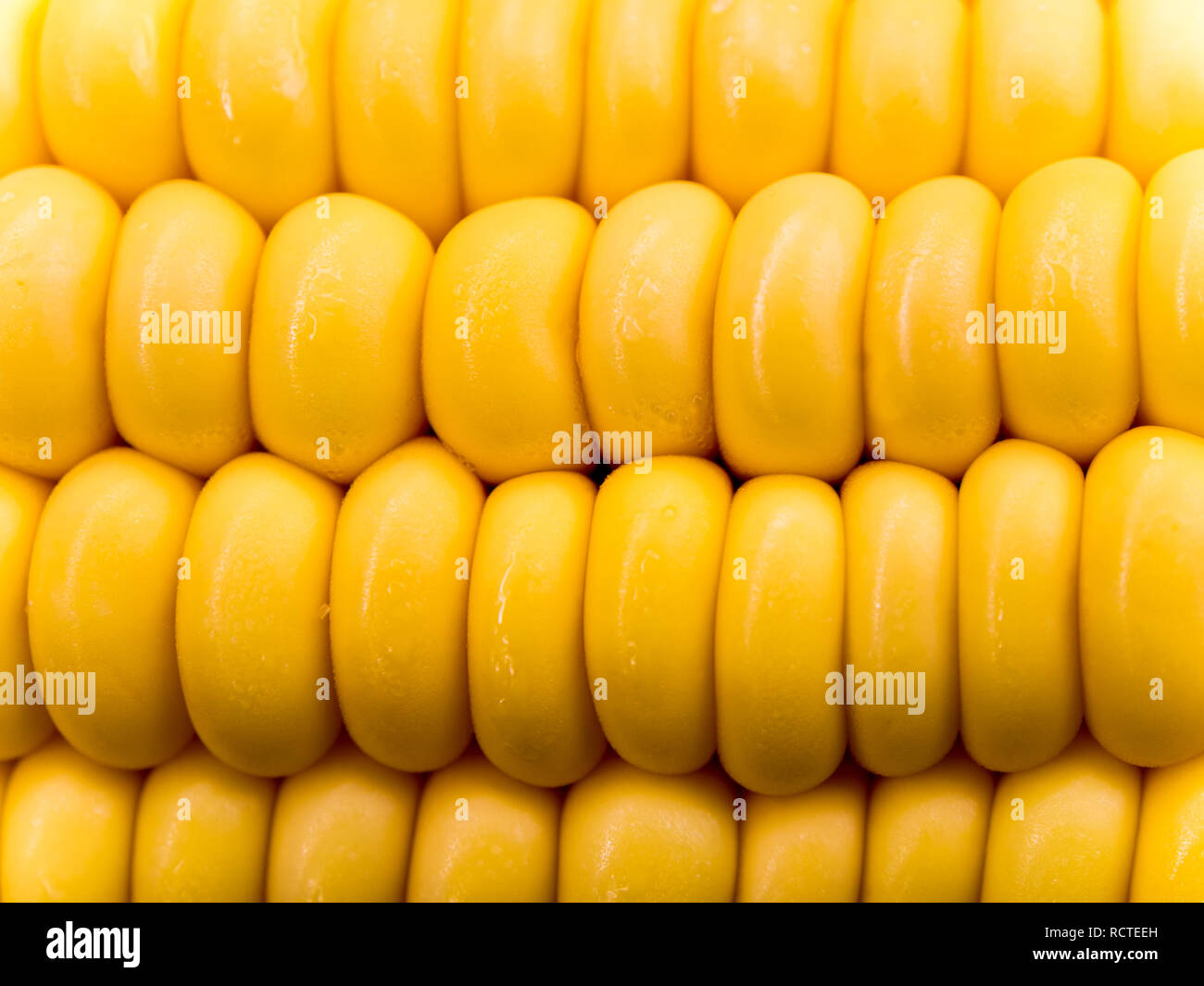 Texture of raw corn cob sweet maize Stock Photo - Alamy