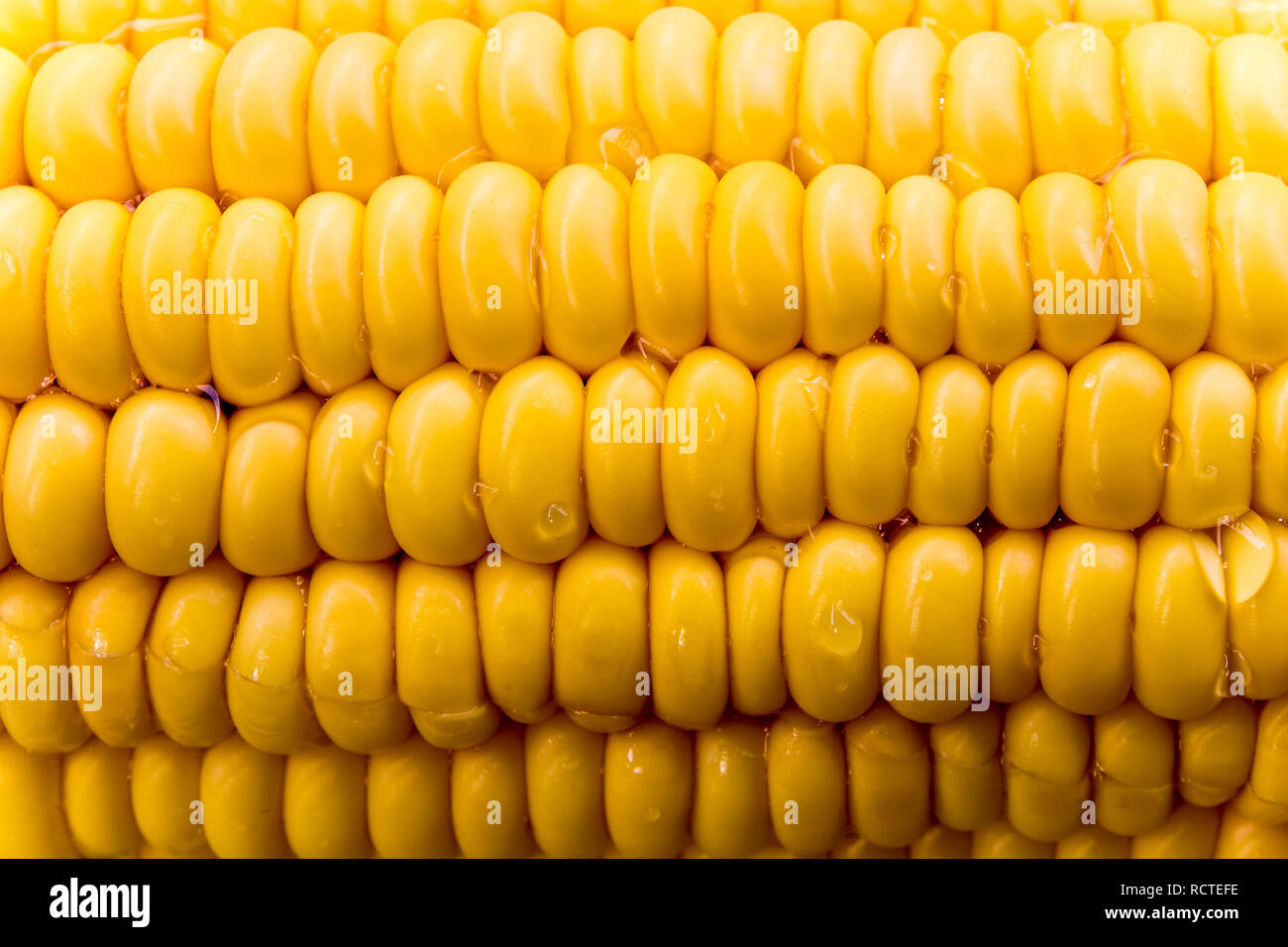 Texture of raw corn cob sweet maize Stock Photo - Alamy
