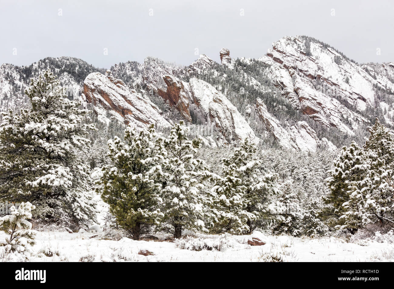 A snowy morning on the Mesa Trail in the Flatiron Mountains of South of ...