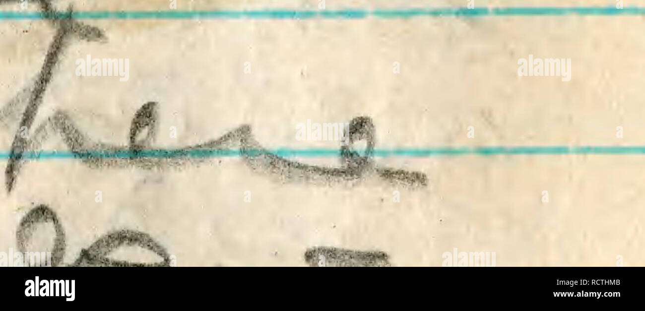 . Diary, January 27, 1924 to September 21, 1924. Entomology ...