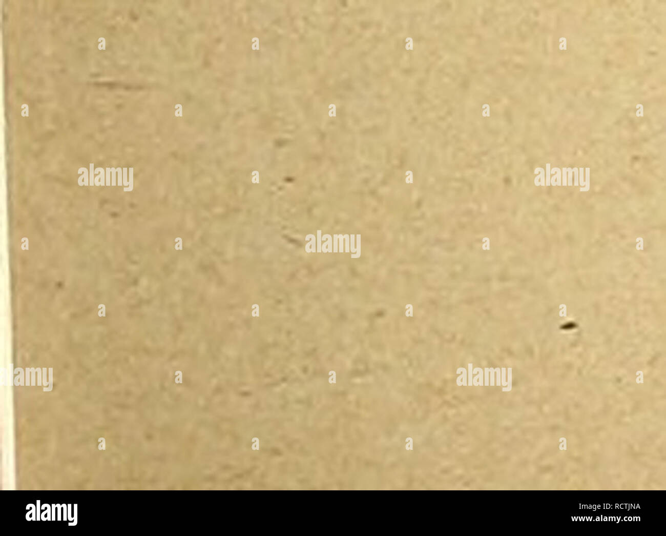 Litoris hi-res stock photography and images - Alamy