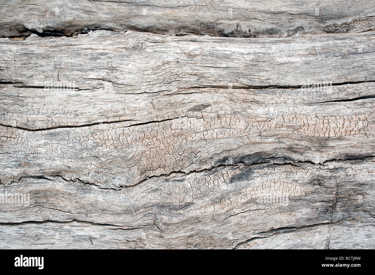 Gray weathered wood rough rustic hi-res stock photography and images ...