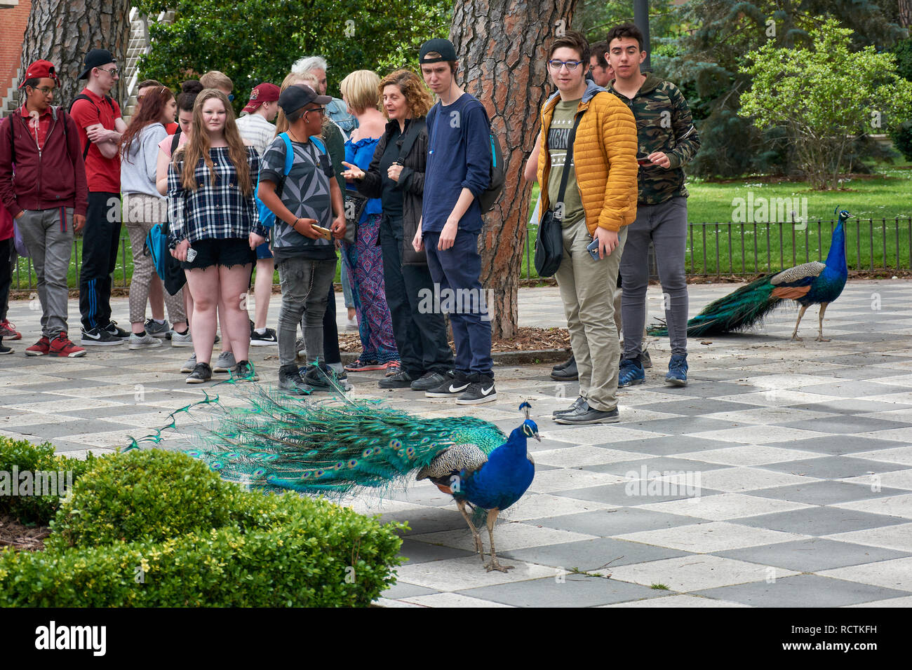 Young students visiting the Gardens of Cecilio Rodriguez on a tour in ...