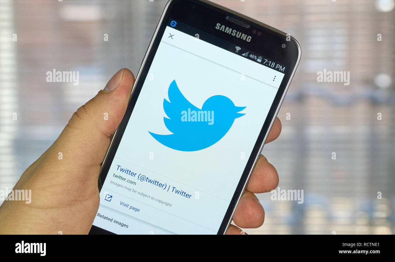Twitter login page hi-res stock photography and images - Alamy