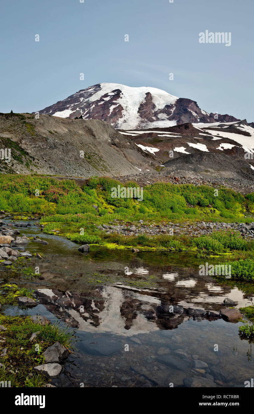 WA15766-00...WASHINGTON - Mount Rainier reflecting in a small stream ...