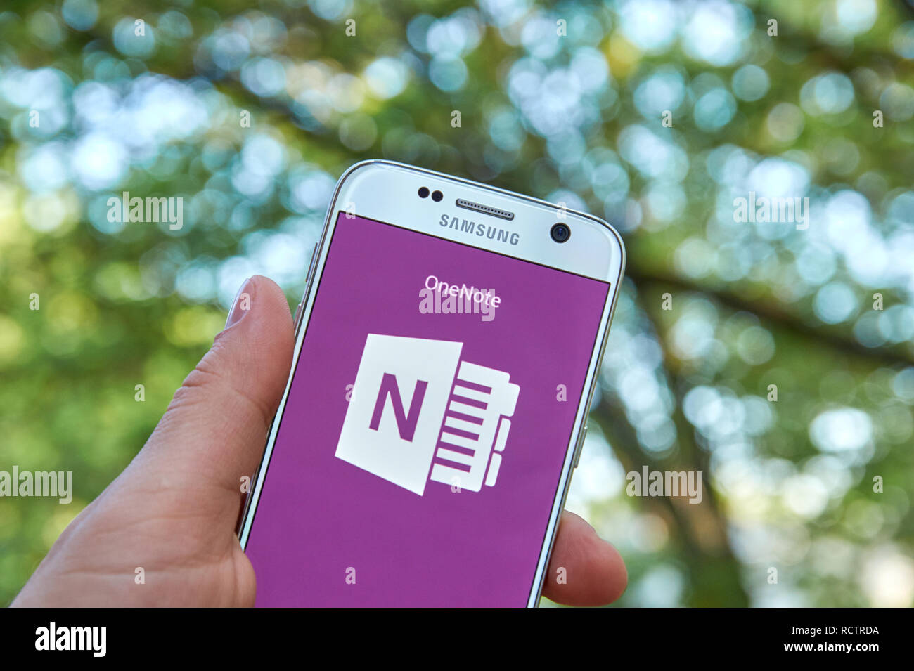Microsoft onenote app hi-res stock photography and images - Alamy