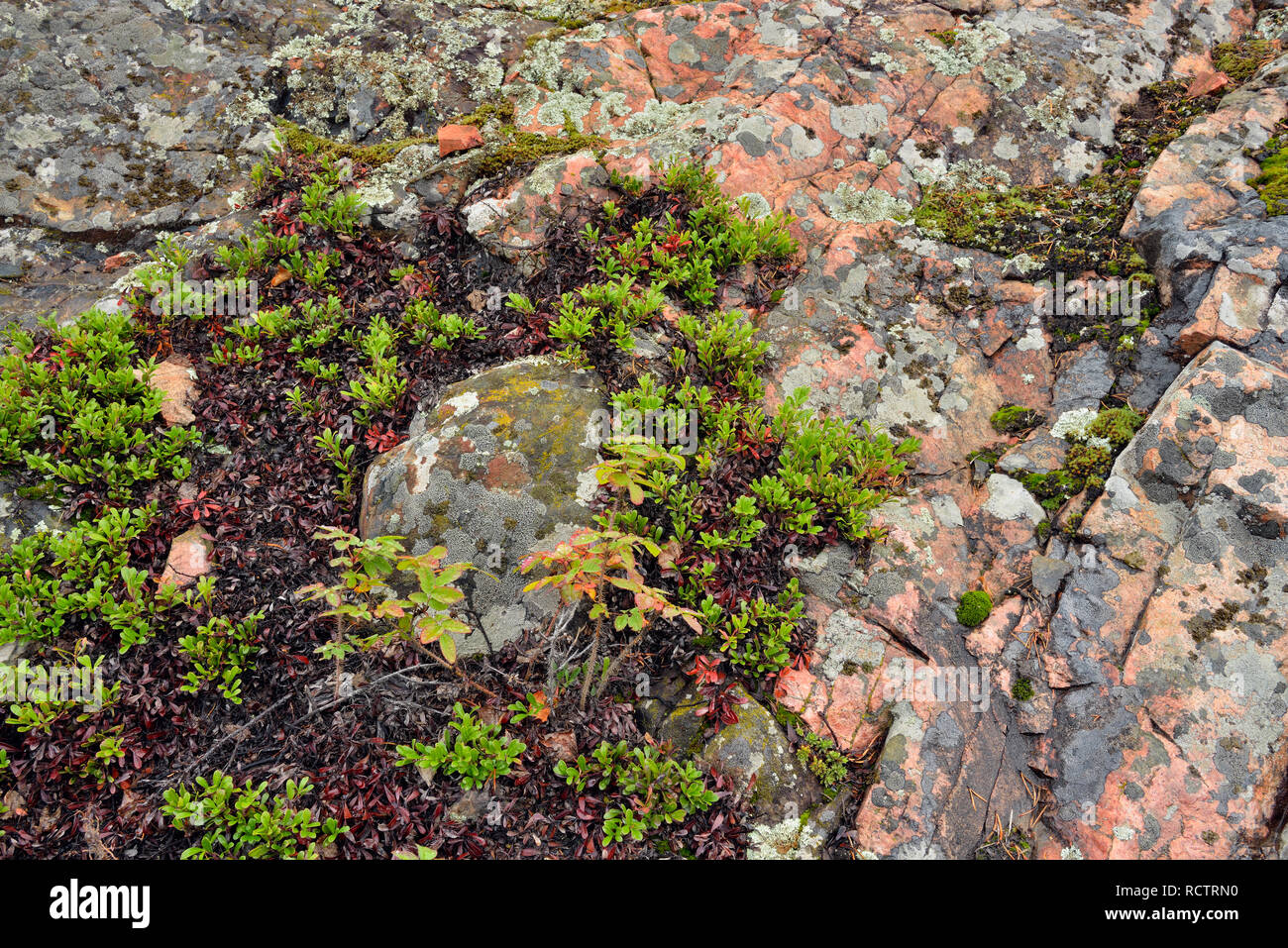 Precambrian rocks hi-res stock photography and images - Alamy