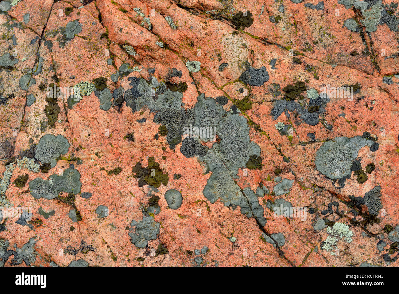 Canadian shield granite outcrops hi-res stock photography and images ...