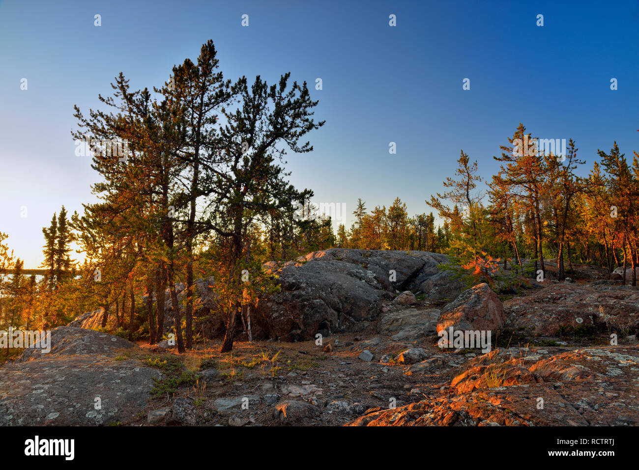 Granite rock outcrops and pine trees, Fred Henne Territorial Park ...