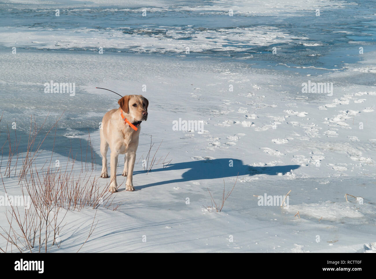 Frozen system hi-res stock photography and images - Alamy