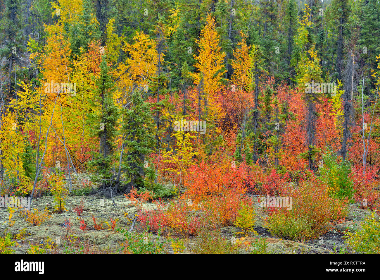 Colours colors color images colour images hi-res stock photography and ...