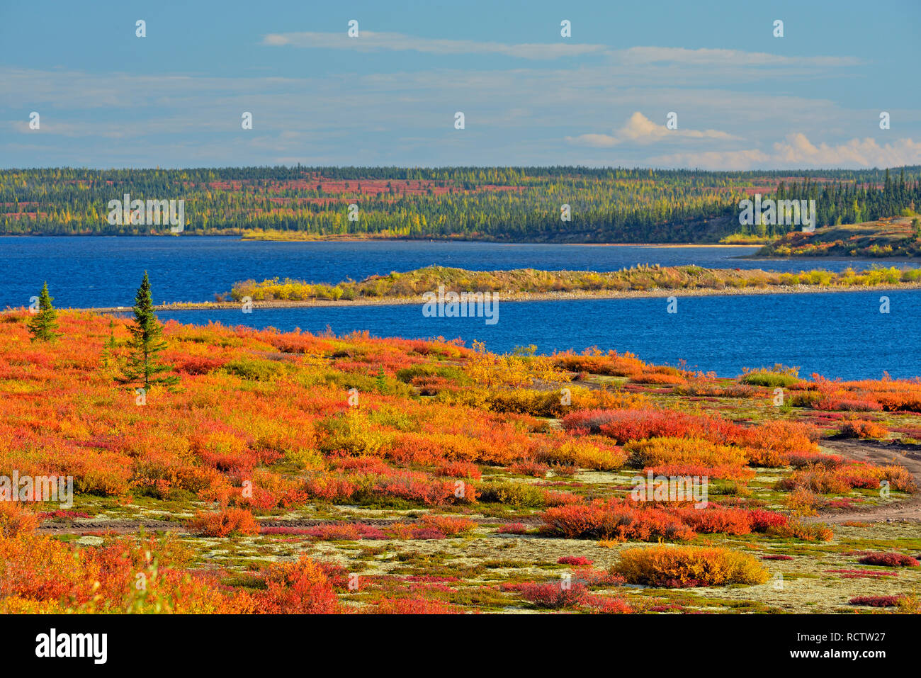 Ennadai lake shoreline hi-res stock photography and images - Alamy