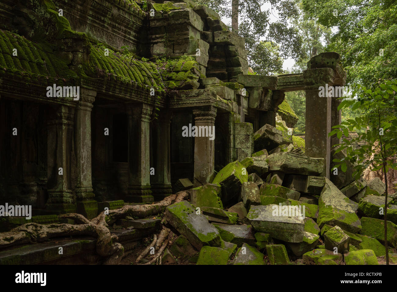 Mossy stone columns of Ta Prohm temple Stock Photo - Alamy