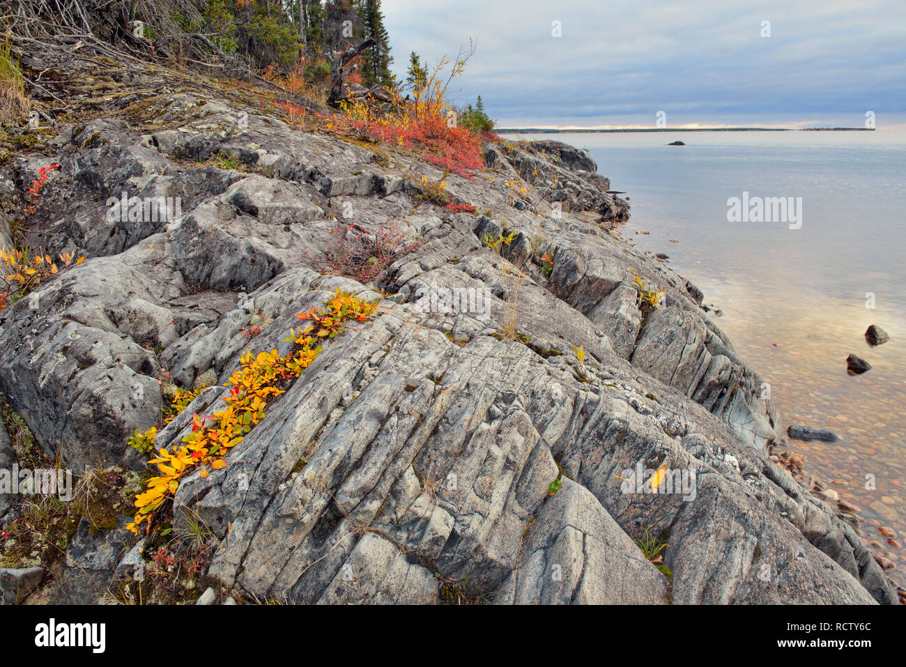 Ennadai Lake shoreline granite outcrops and autumn willow, Arctic Haven ...