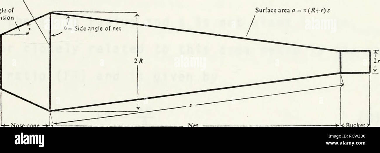 Plankton Net Diagram