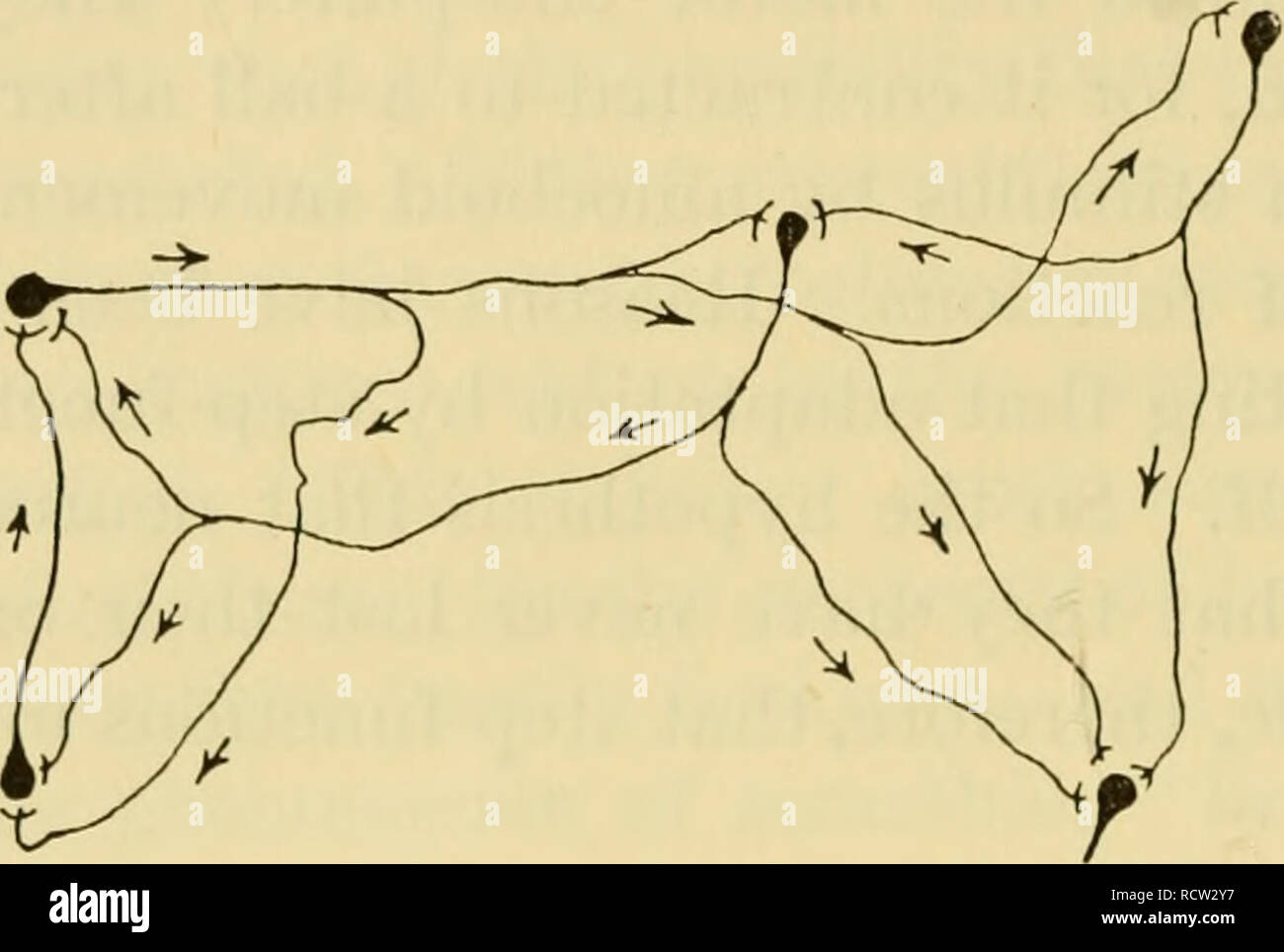 Complex mathematical models hi-res stock photography and images - Alamy