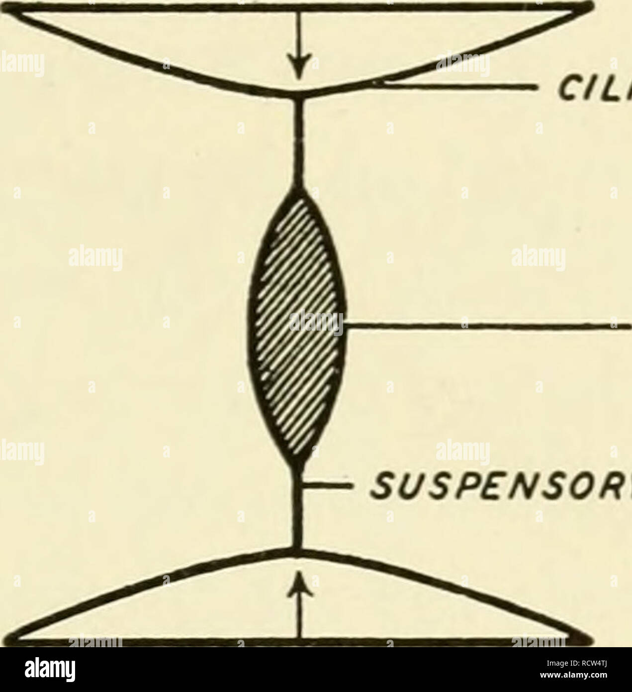. Elements of biology, with special reference to their rôle in the ...