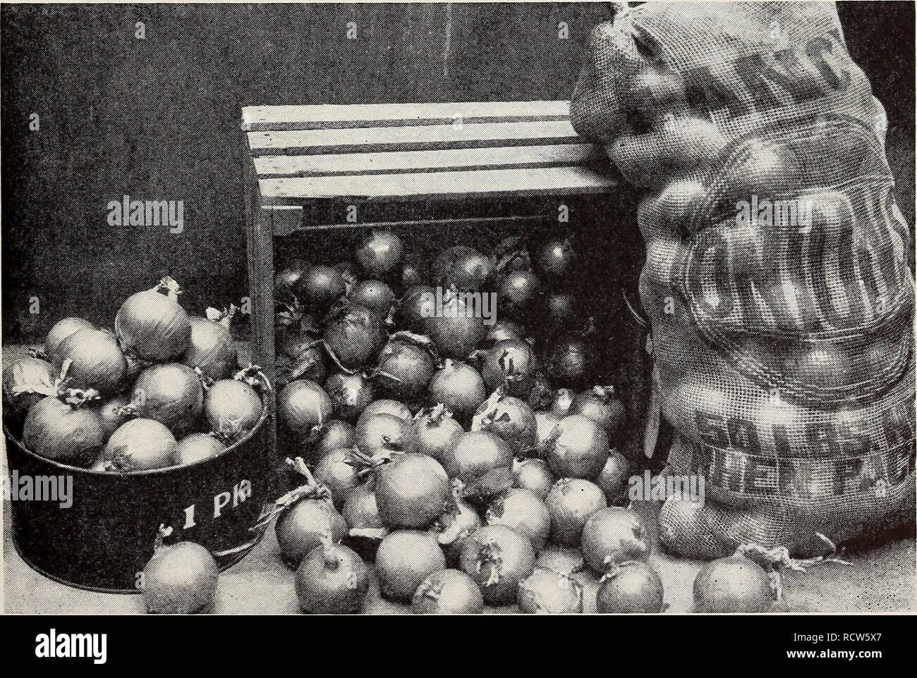 Poor vegetable storage hi-res stock photography and images - Alamy