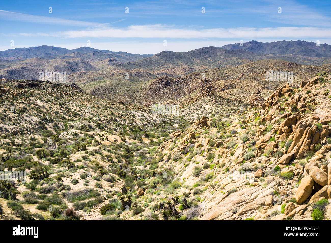 Landscape in Joshua Tree National Park, California Stock Photo - Alamy