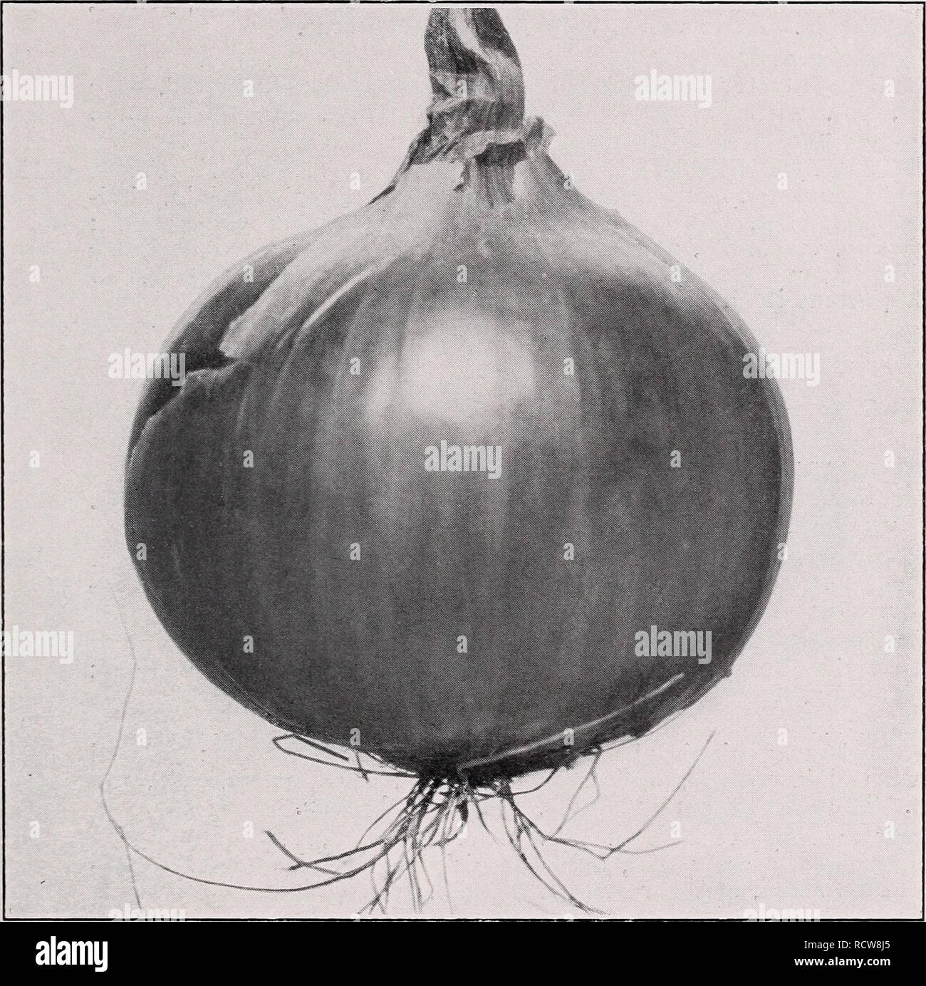 Flushed skin hi-res stock photography and images - Alamy