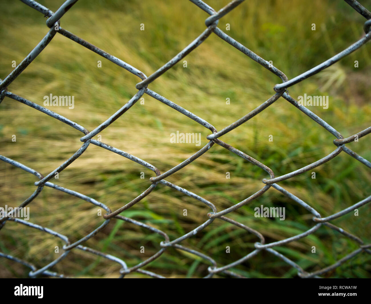 Metal Grill Fence High Resolution Stock Photography and Images - Alamy