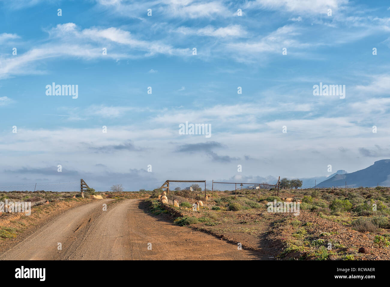 Cattle grid karoo hi-res stock photography and images - Alamy