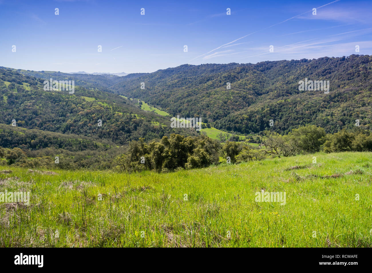 View towards Hunting Hollow valley, Henry Coe state park, California ...