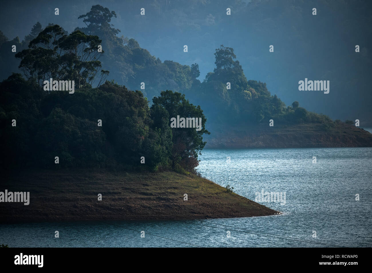 Morning landscape in Gavi ecotourism forest with wide variety of birds ...