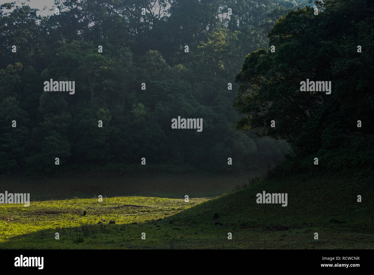 Gavi Periyar High Resolution Stock Photography and Images - Alamy