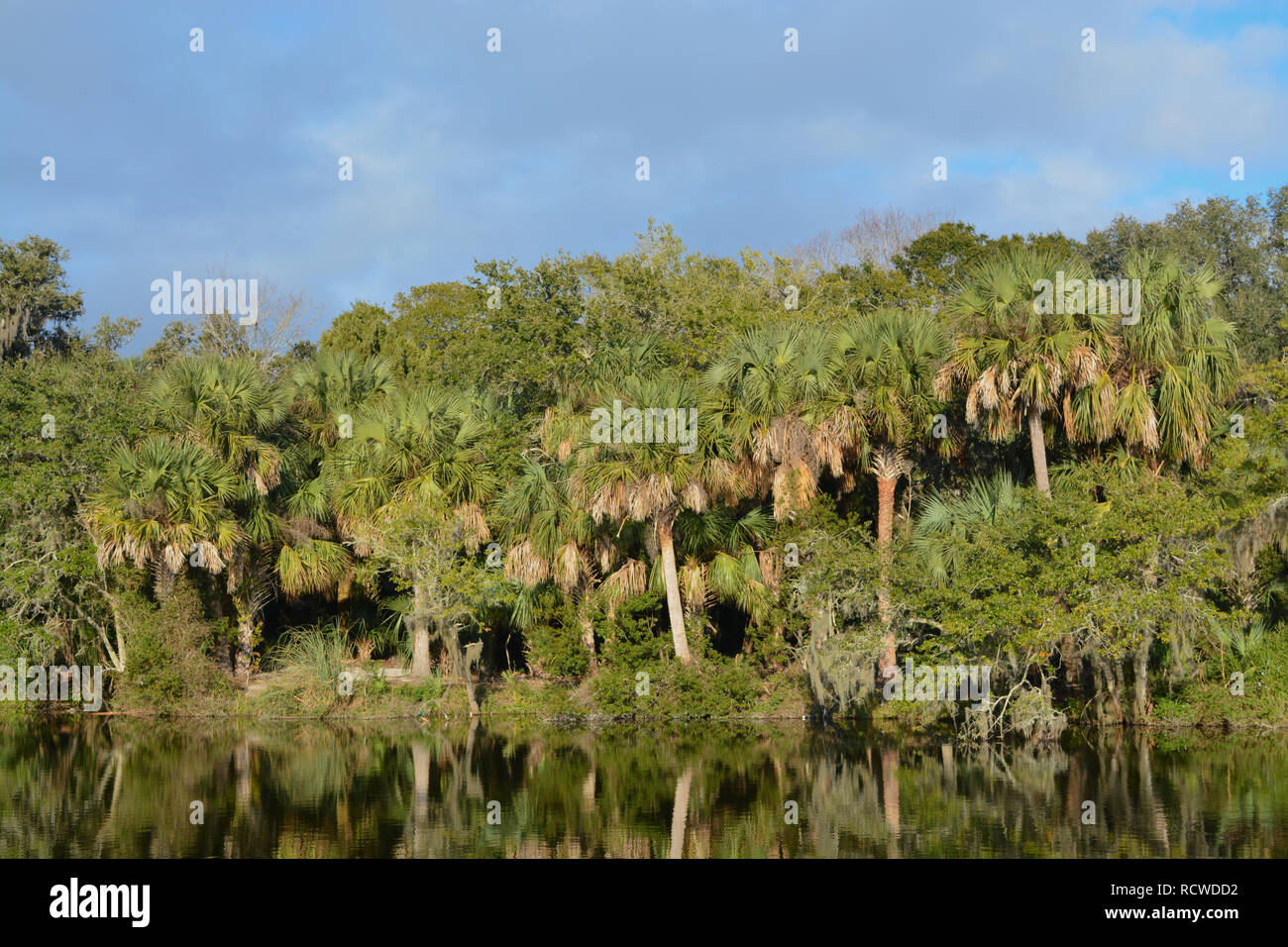 Hanna park hi-res stock photography and images - Alamy