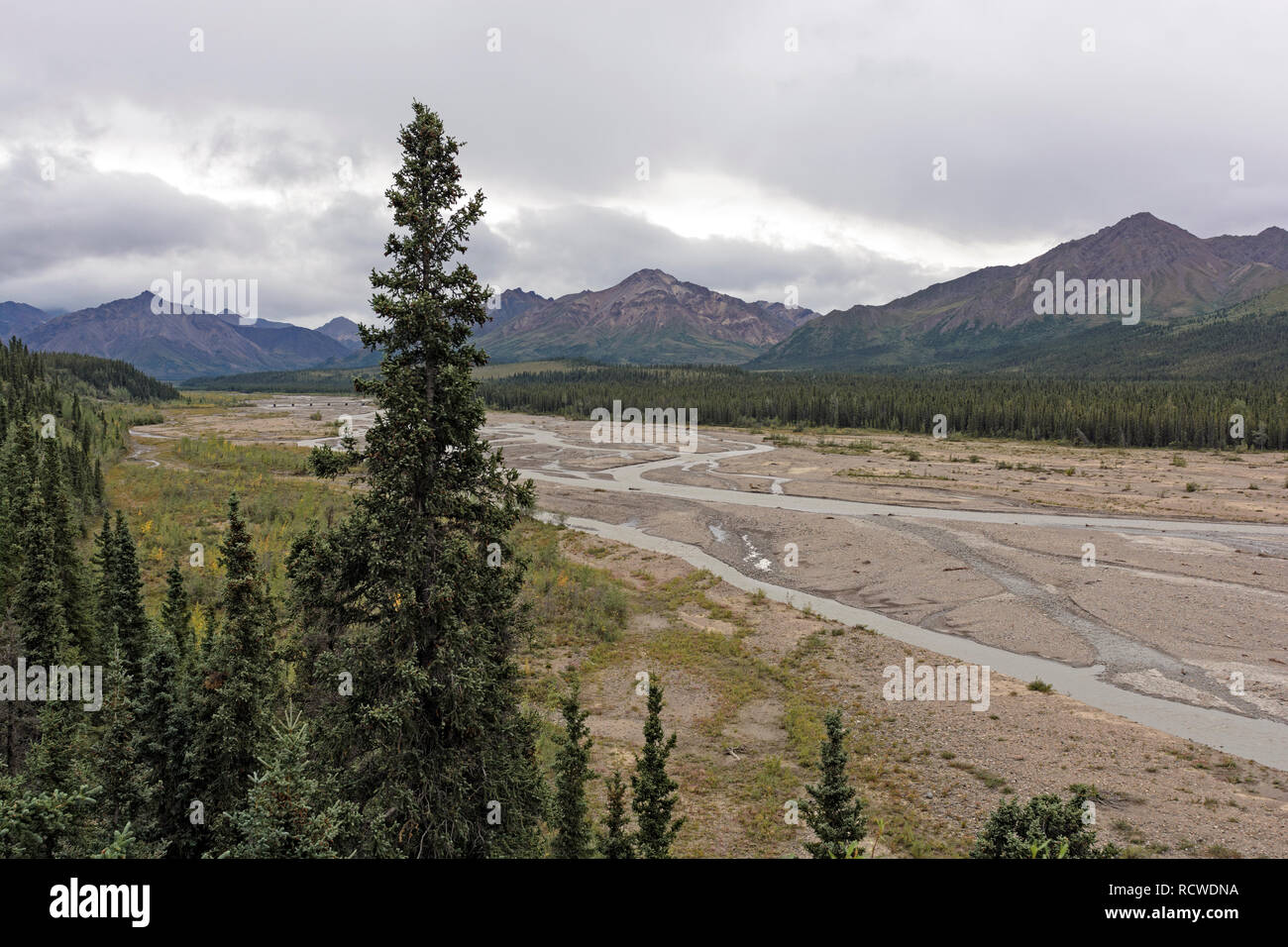 Braided Teklanika River in Denali National Park in Alaska Stock Photo ...