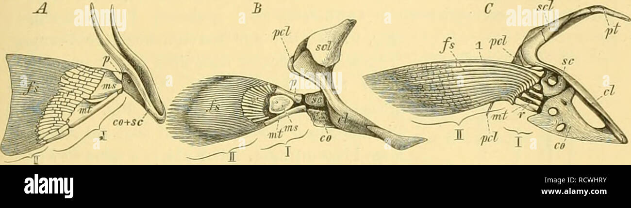 Ts ausbildung hi-res stock photography and images - Alamy