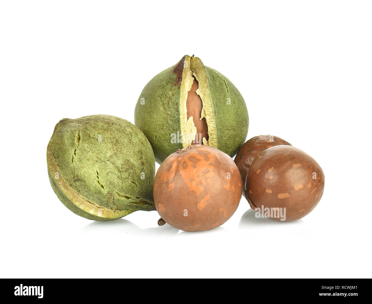 macadamia nuts on white background Stock Photo - Alamy